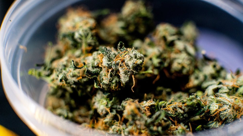 THC : définition, effets et différences avec le CBD – Natura Force